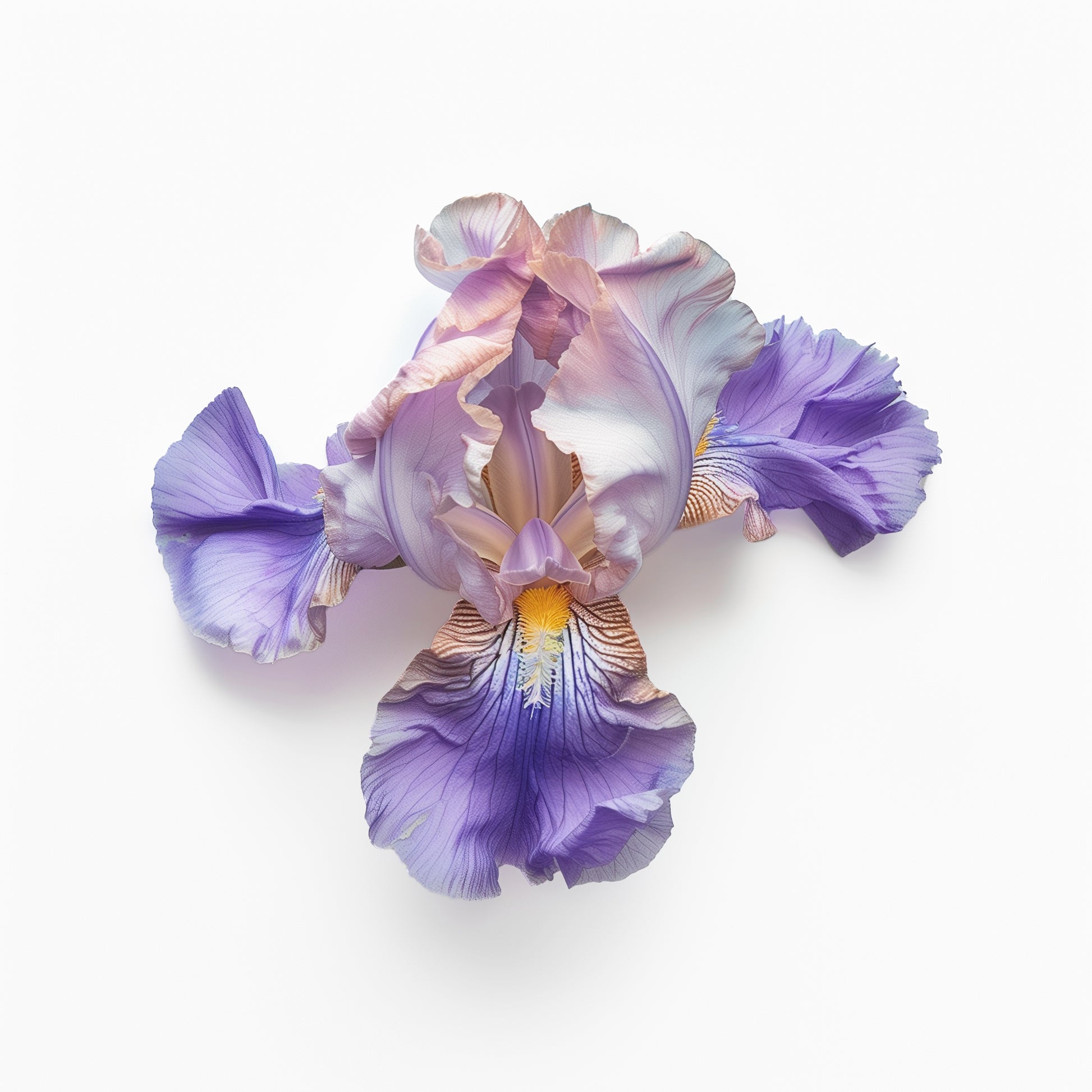 ISORALDEINE® 95 – Creating Perfume Store