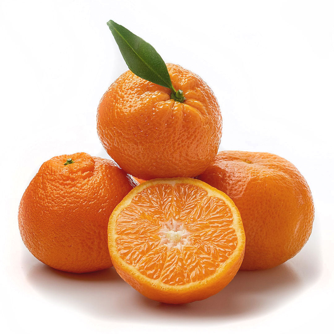 CLEMENTINE NOTE – Creating Perfume Store