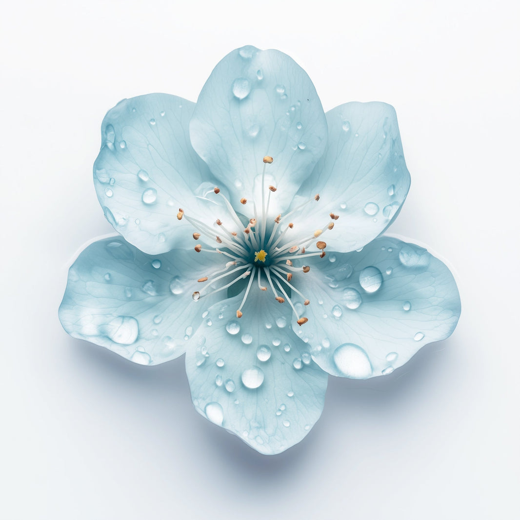 WATER – Creating Perfume Store