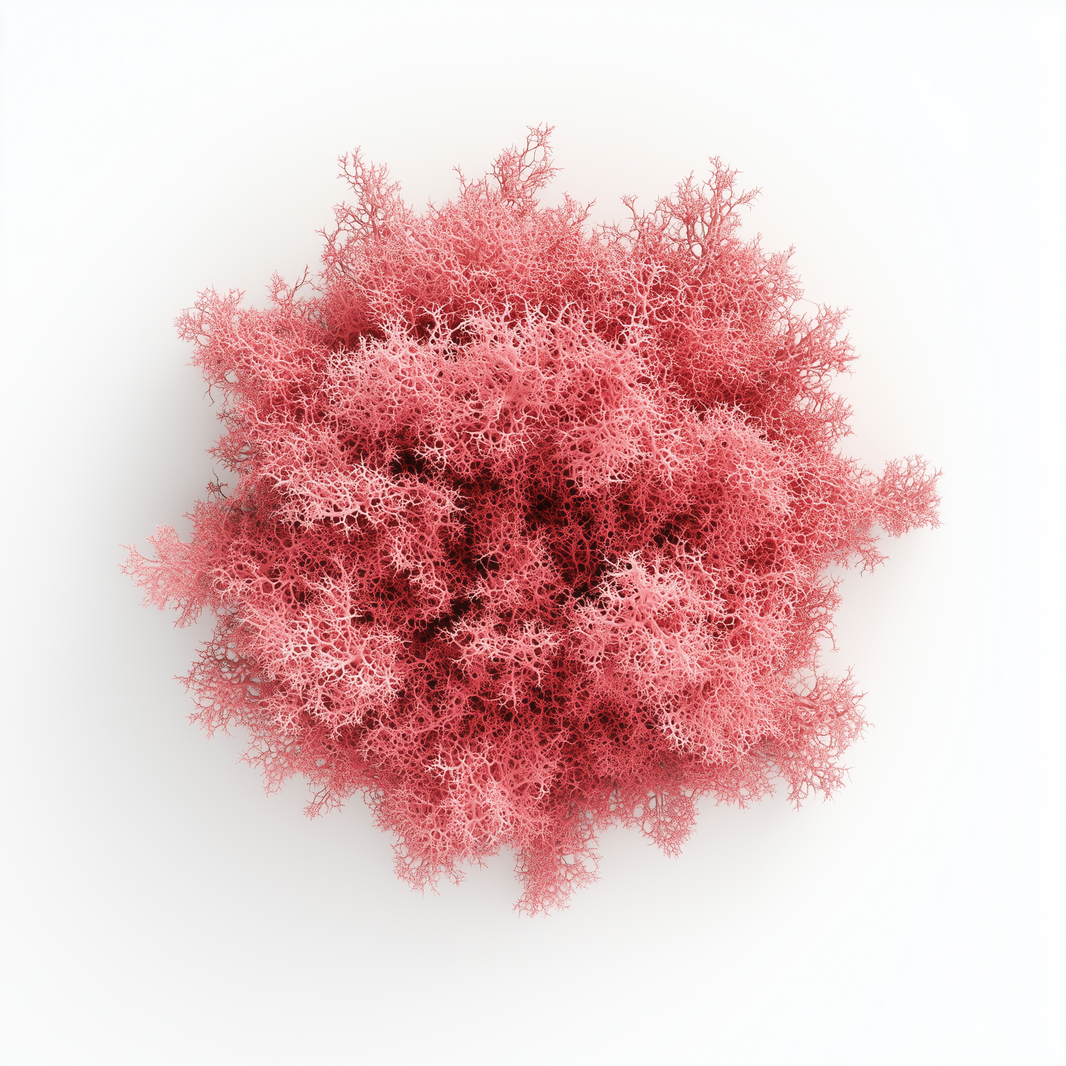 FIRE – Creating Perfume Store